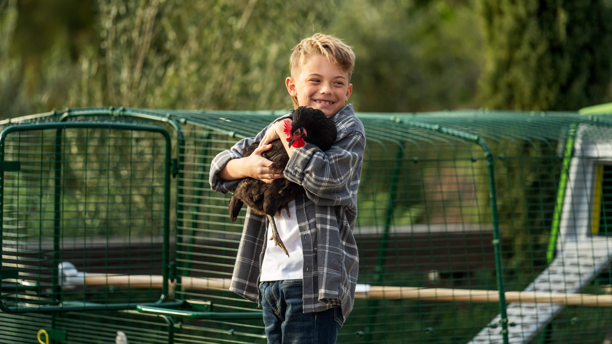 Why chickens make the best pets for kids - Omlet Blog Australia