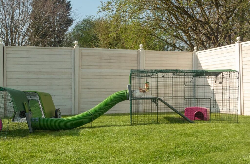 How to Use Platforms With Your Rabbits - Omlet Blog Australia