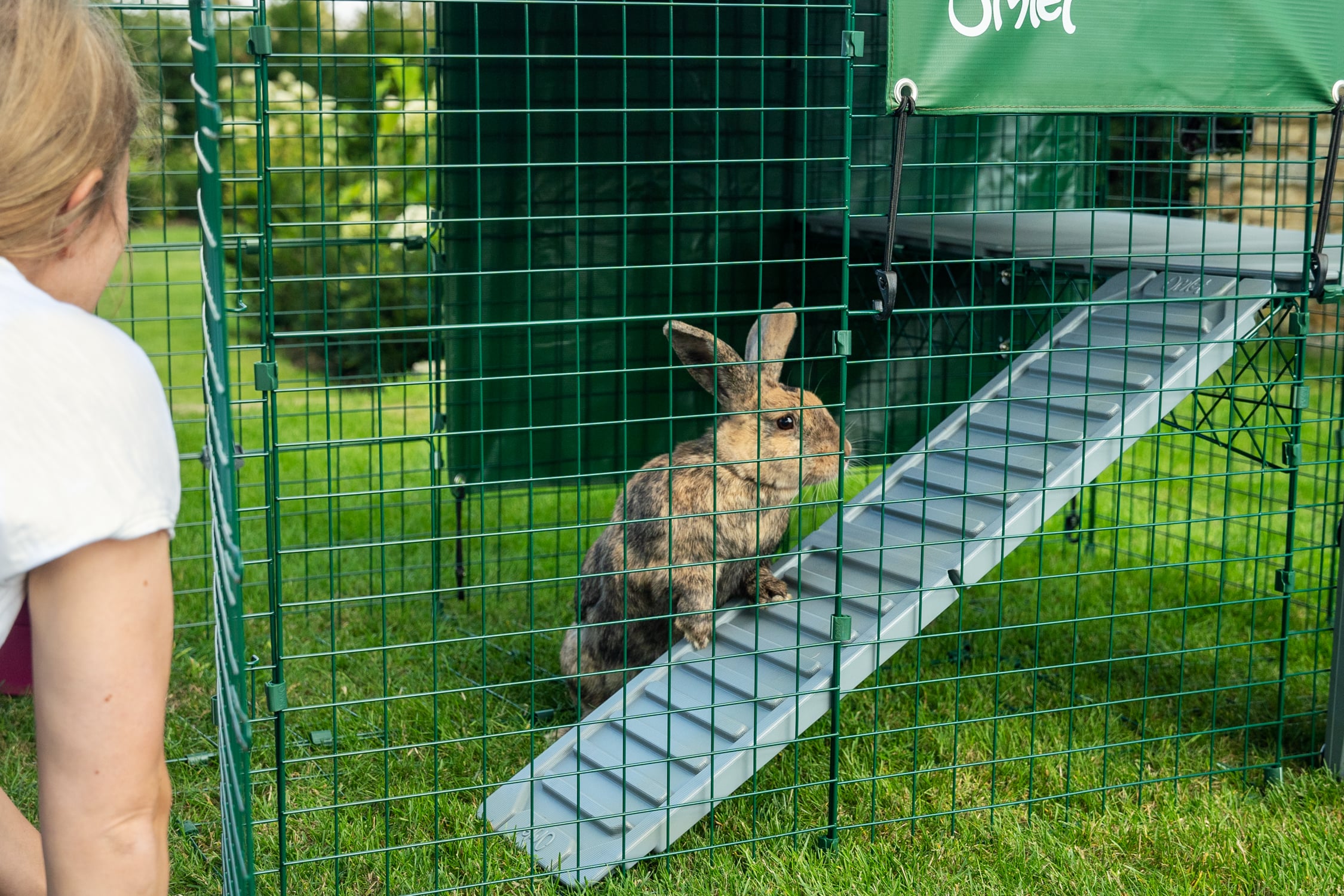 How to use platforms with your rabbits - Omlet Blog Australia
