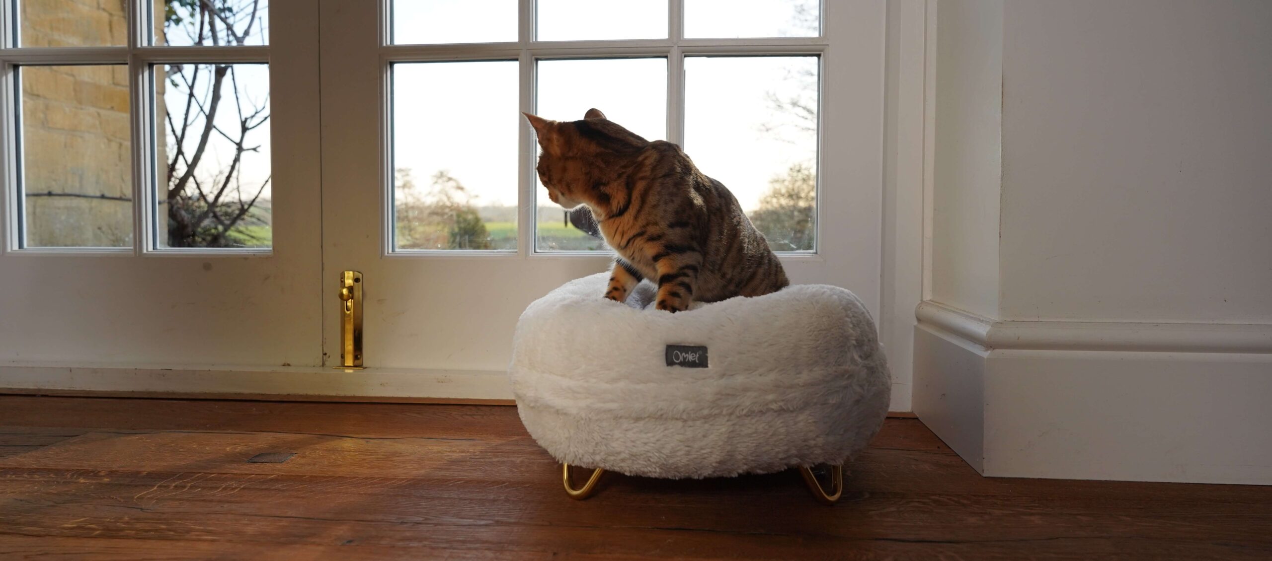 Cats and Wildlife in the Garden - Omlet Blog Australia