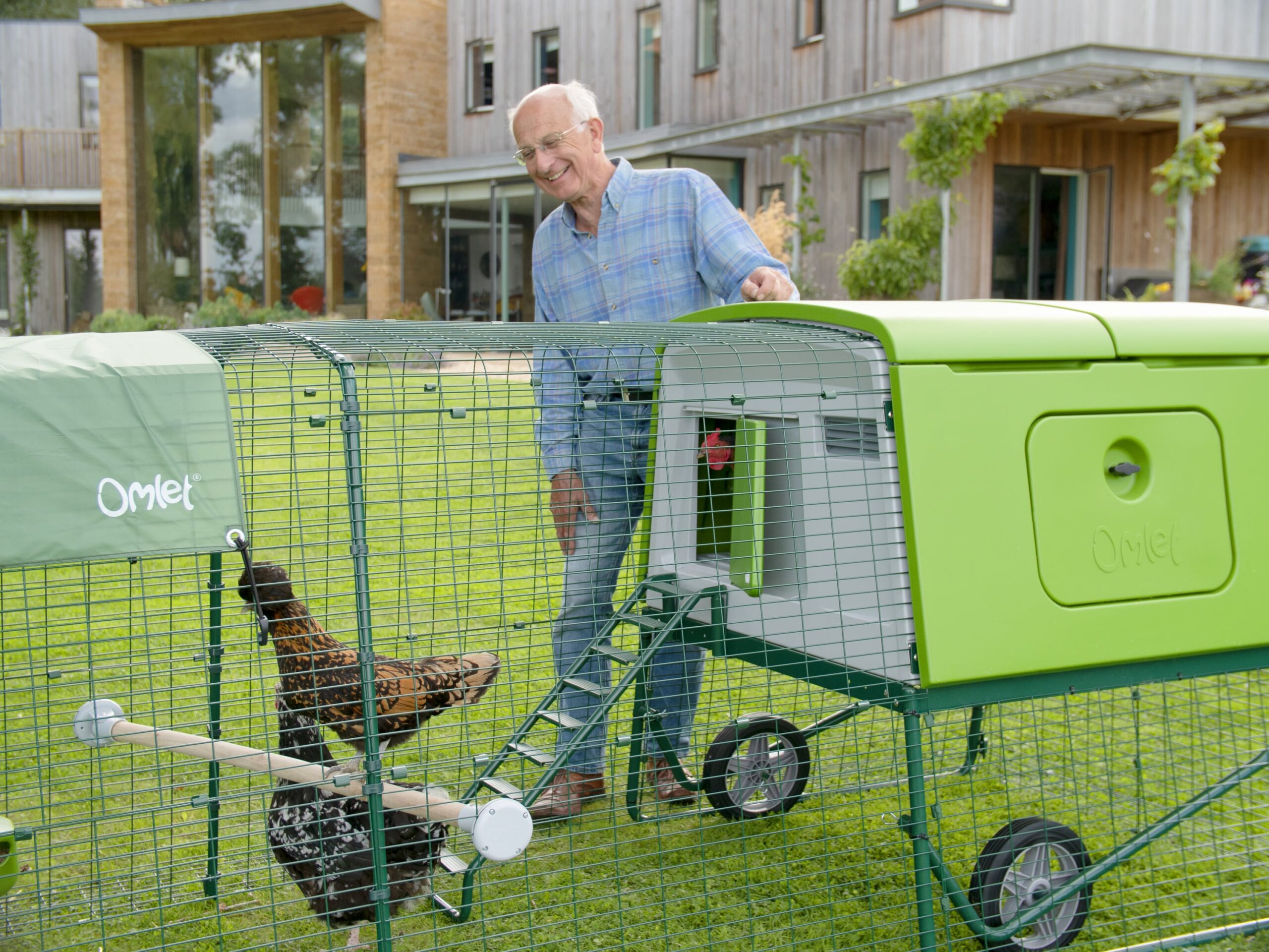 Chicken Sitter Essentials - Omlet Blog Australia