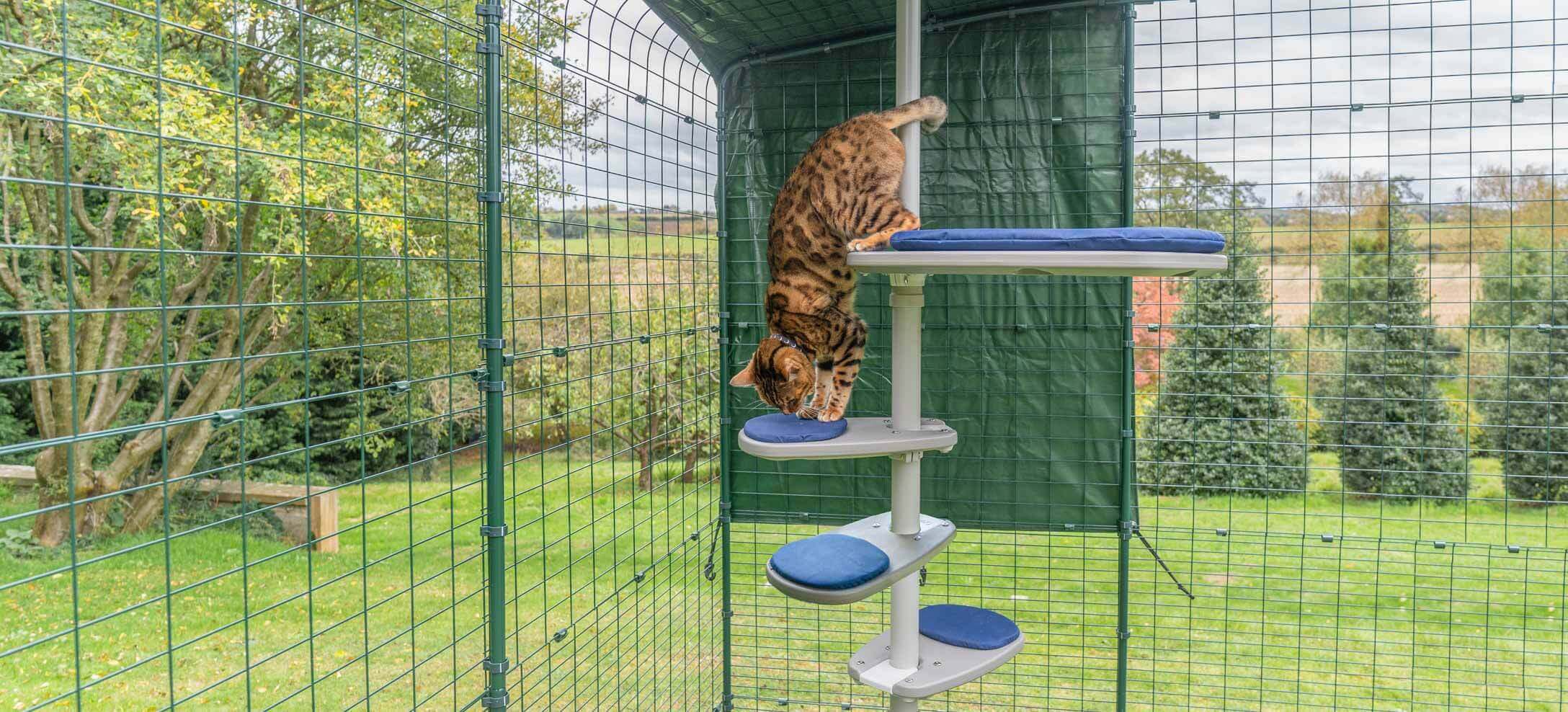 Catio Ideas - Omlet Blog Australia