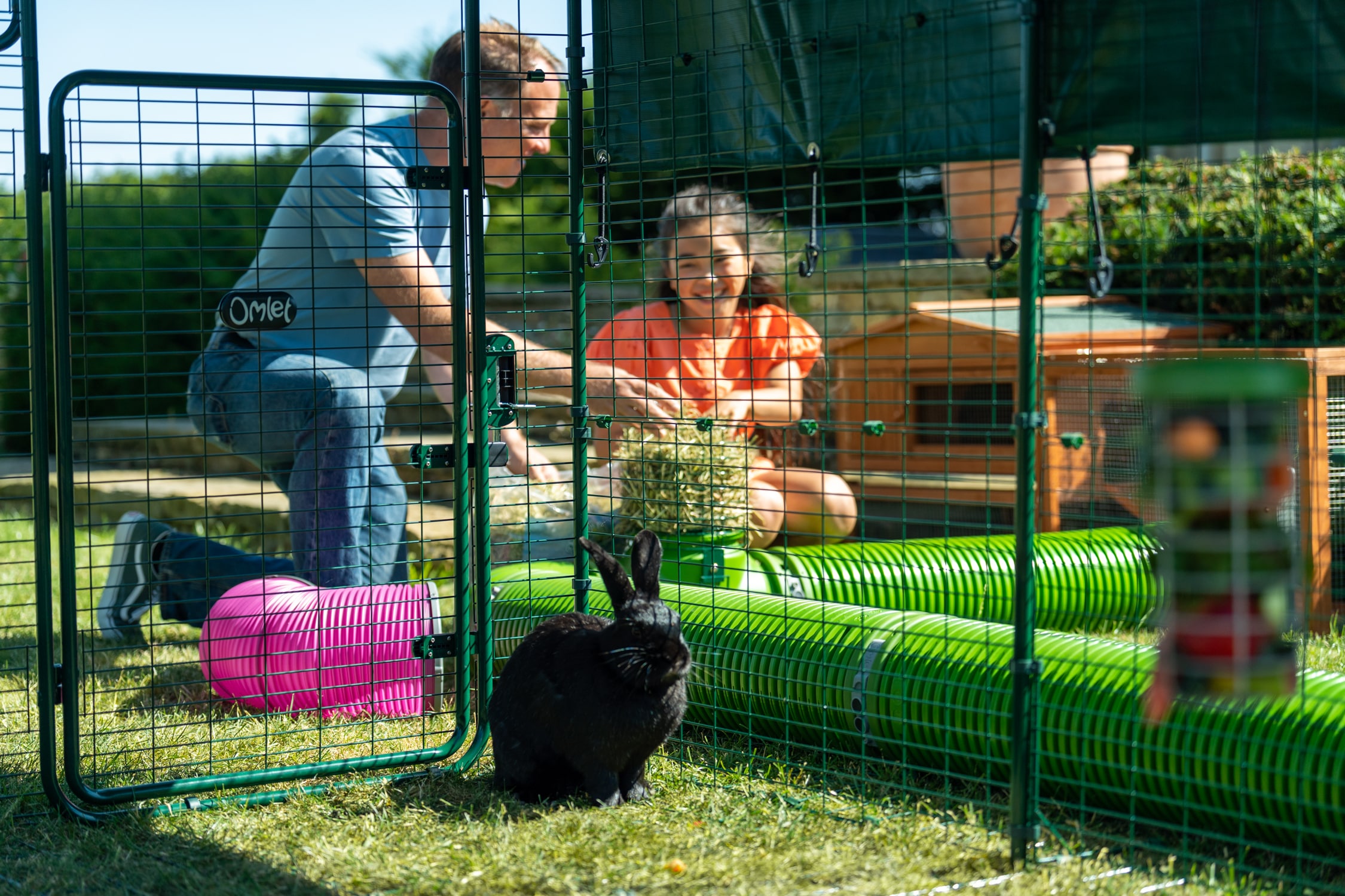 Keeping rabbits for beginners - Omlet Blog Australia