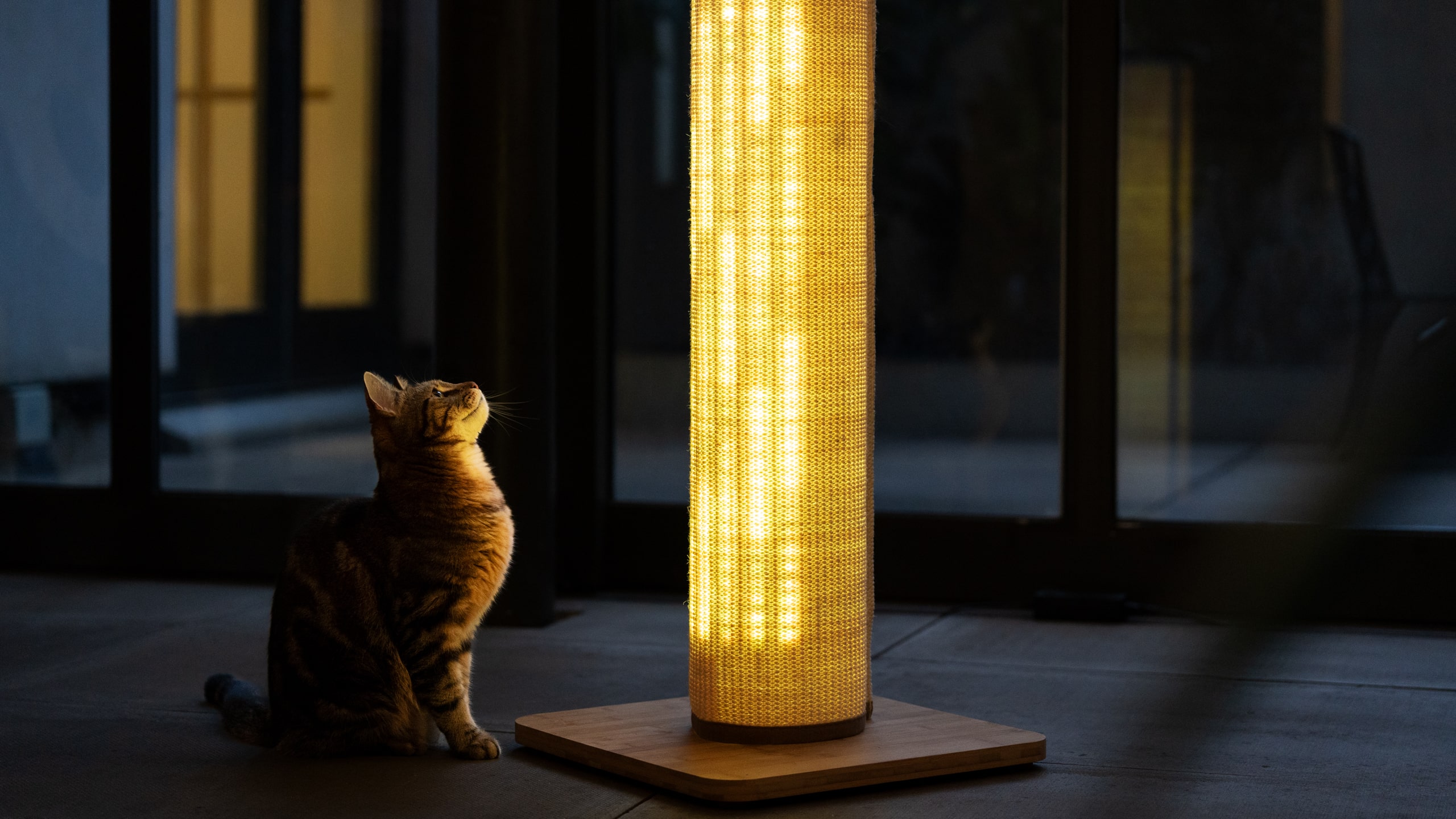 The new cat scratcher with over 1200 light settings - Omlet Blog Australia