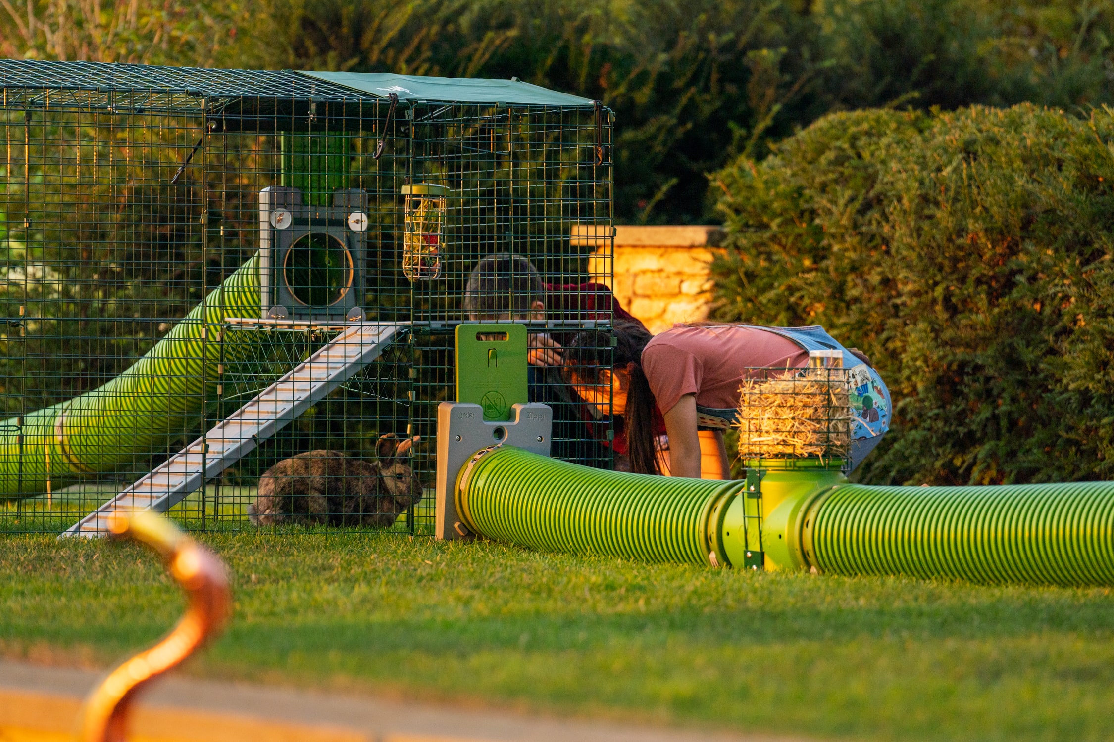 Rabbit enrichment 101 - Omlet Blog Australia
