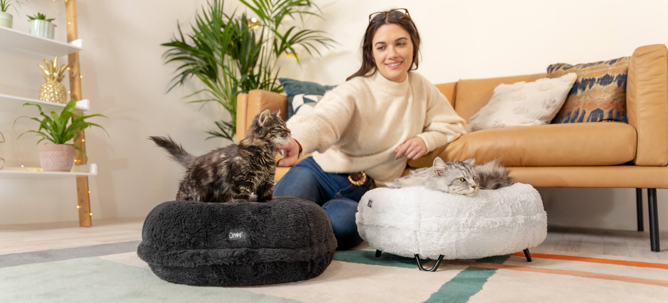 Should I get another cat? Benefits of cat companions - Omlet Blog Australia